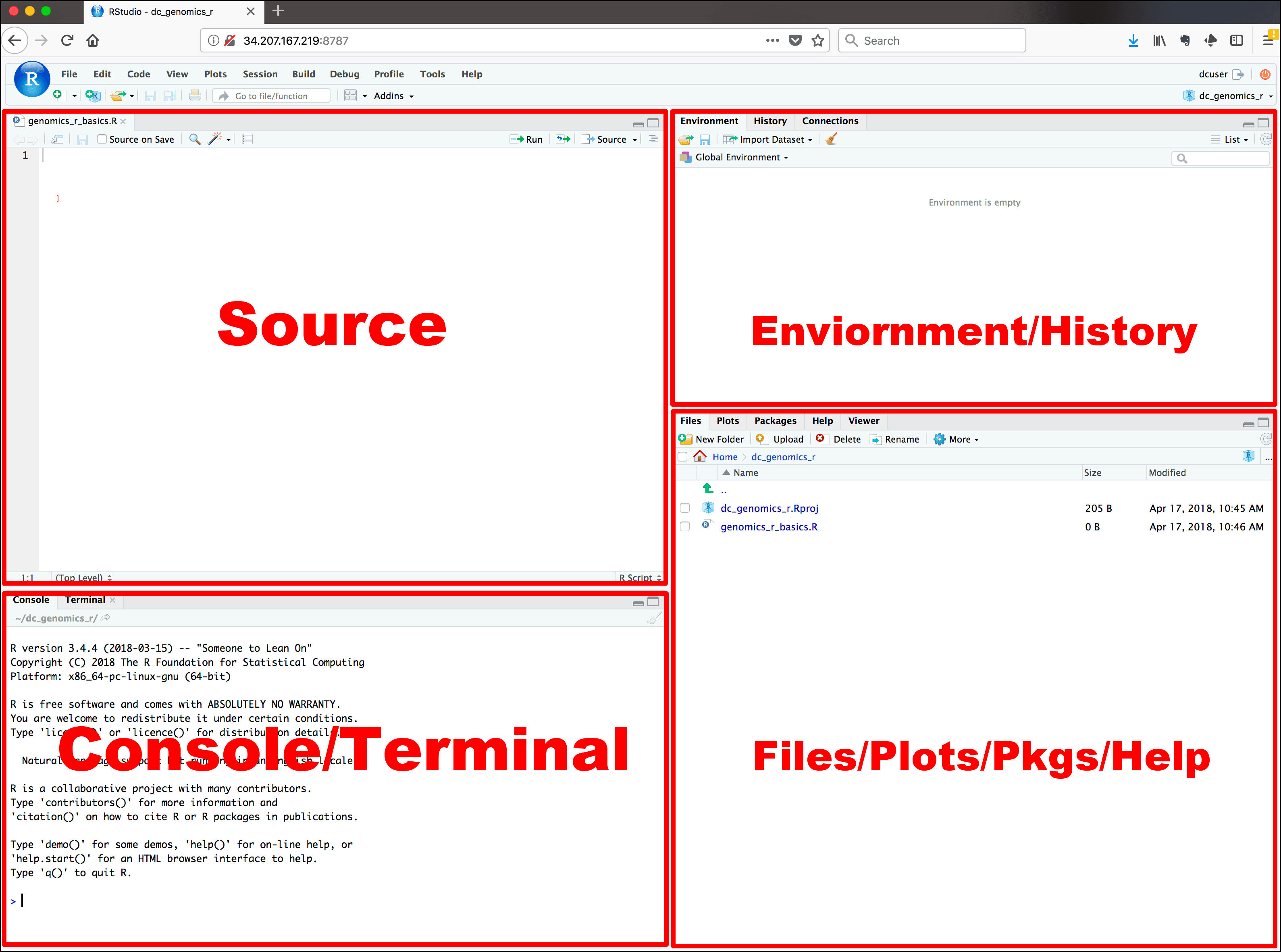 RStudio In Galaxy